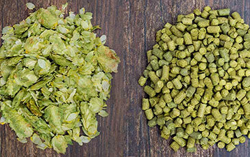 When to Add Hops During the Brewing Process – Midwest Supplies