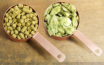 Hops and Their Various Forms – Midwest Supplies