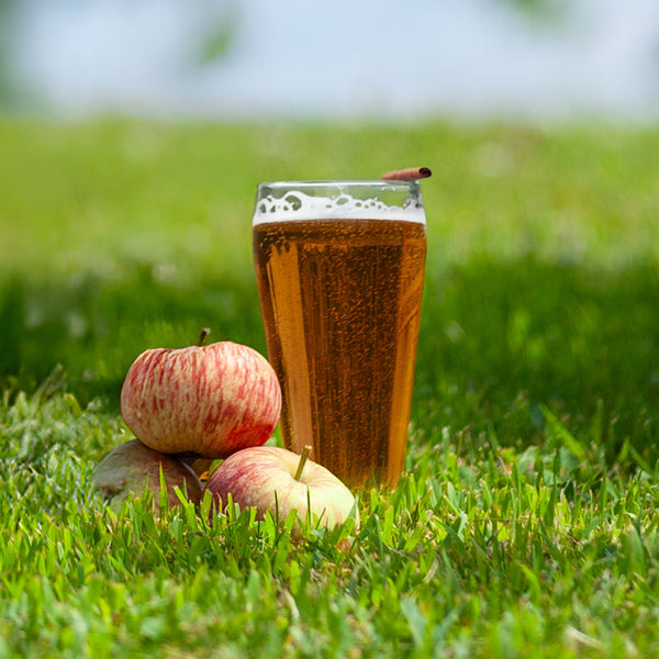 Spiced Apple Ale All-Grain Beer Kit | Apple Beer with Fall Spice ...
