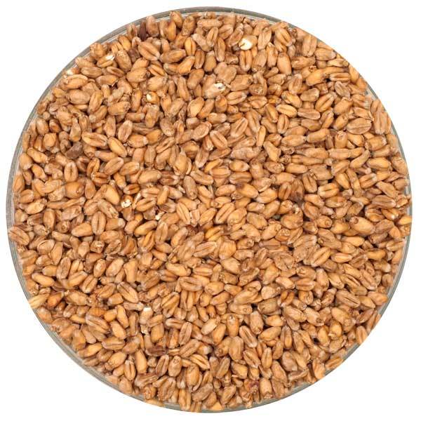 Pale White Wheat Malt - Montana Craft Malt - 55 lb. Sack – Midwest Supplies