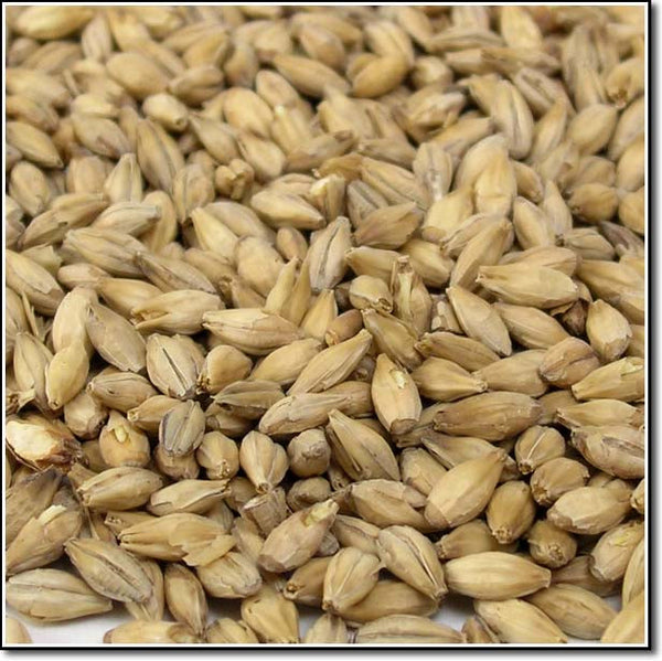 Dingemans Pilsen Malt - 55lb Sack – Midwest Supplies