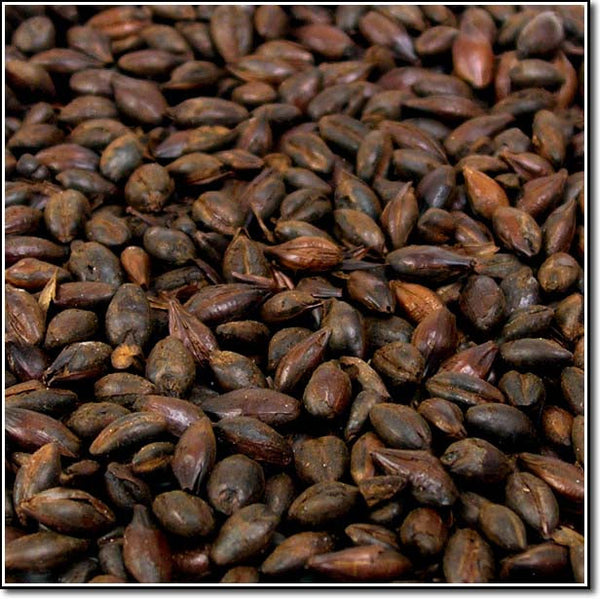 Weyermann Dehusked Carafa III Malted Grain - 55lb Sack – Midwest Supplies