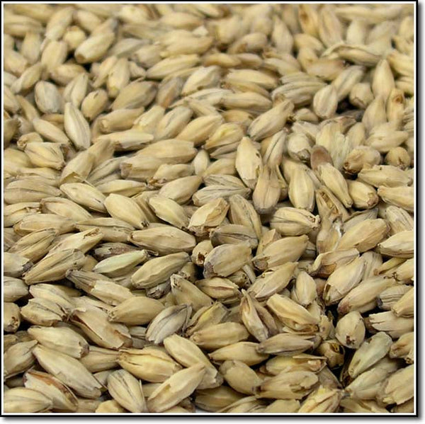 Rahr American 6-Row Malt - 55lb Sack – Midwest Supplies